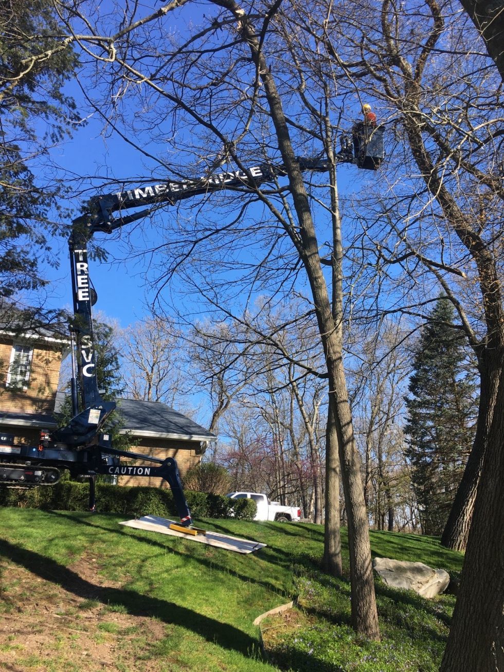 About - Cascade Tree Service